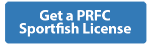 Get a PRFC Sportfishing License